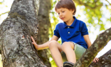 Understanding Boys, a resource for parents of boys. By Brighton Grammar ...