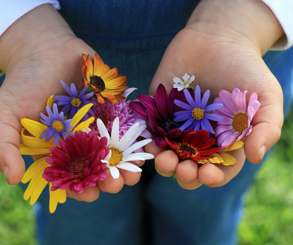 The power of kindness - Understanding Boys, a resource for parents of ...